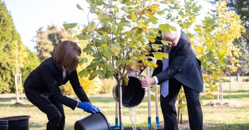 TRM - Presidents Maia Sandu and Frank-Walter Steinmeier plant trees at ...